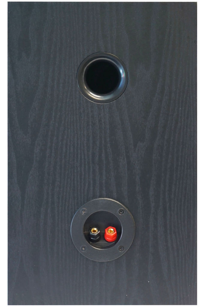 100W Compact Class D Amplifier & 2 Way Mini-Monitors B | Wagner Online ...